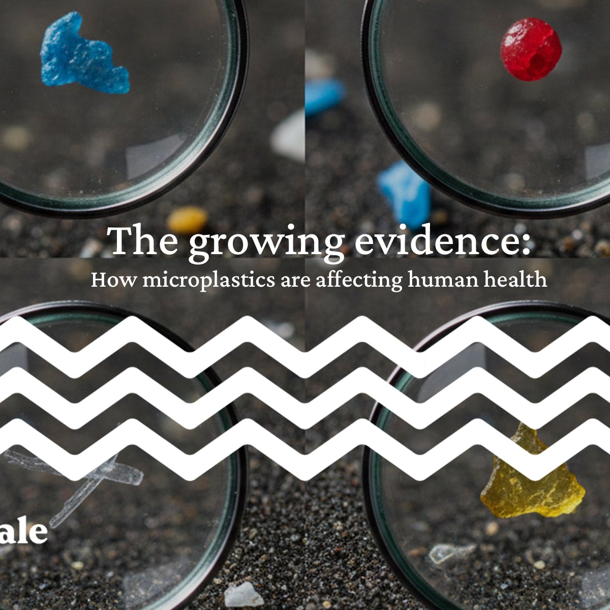 The growing evidence: How microplastics are affecting human health – Grale